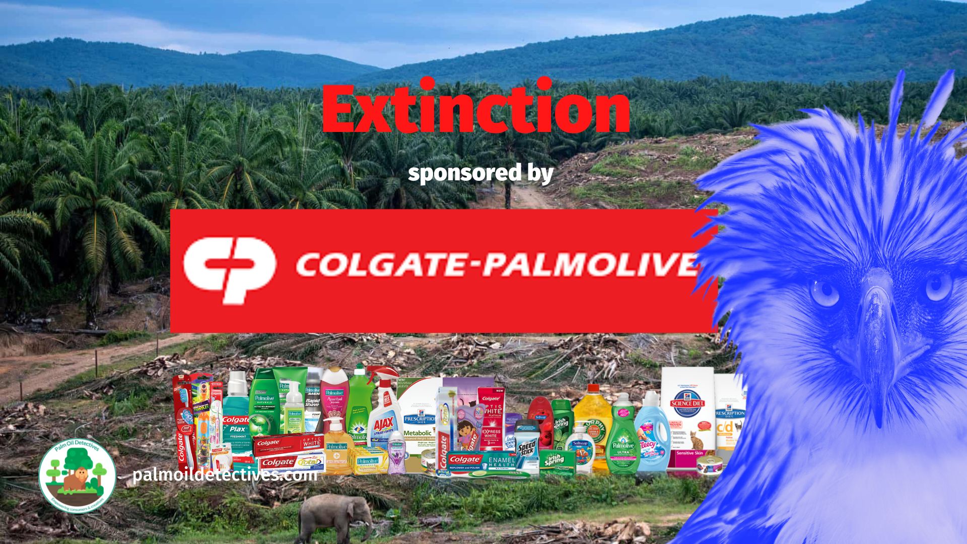 Take Action – Palm Oil Detectives
