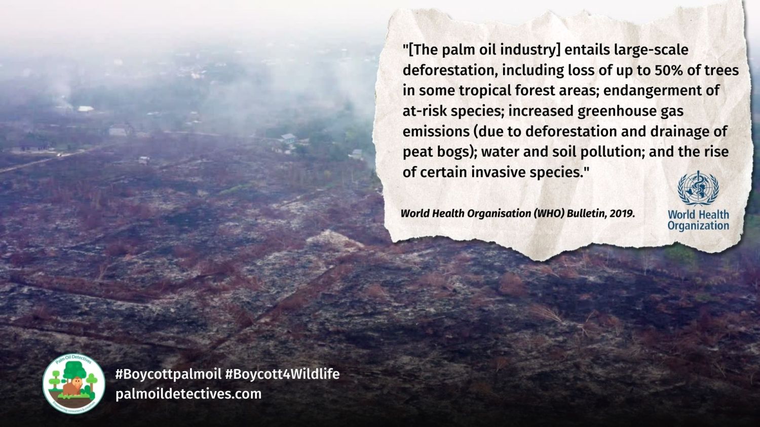 Research: Palm Oil Deforestation and its connection to RSPO members ...