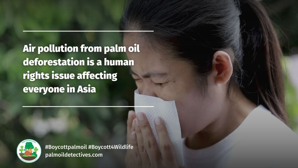 Air Pollution from Palm Oil: A Human Rights Issue – Palm Oil Detectives