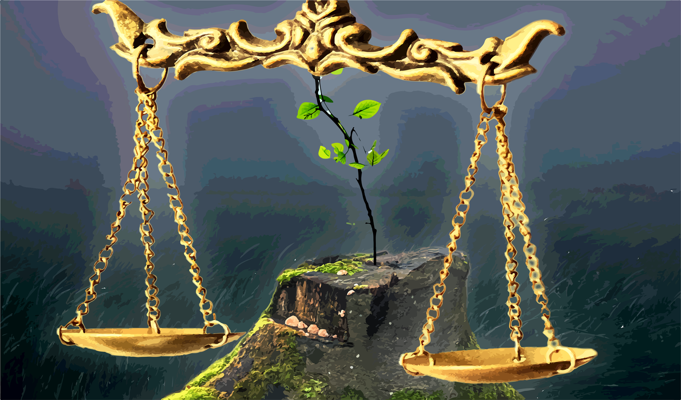 The right for nature to simply exist is clear – the movement to ...