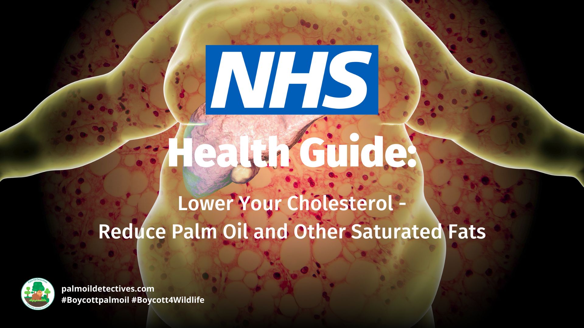NHS Health Guide: Lower Your Cholesterol – Reduce Palm Oil and Other ...