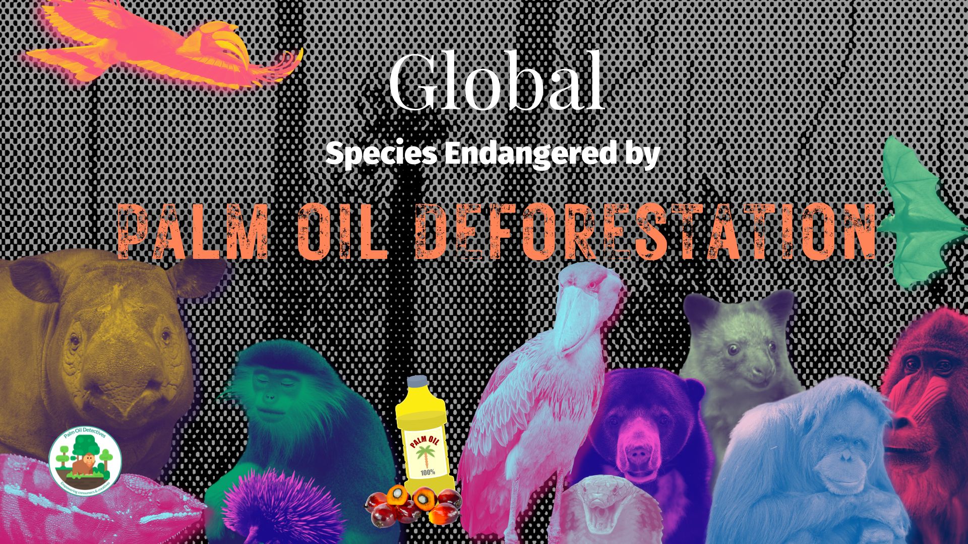 Global Species Endangered by Palm Oil Deforestation – Palm Oil Detectives