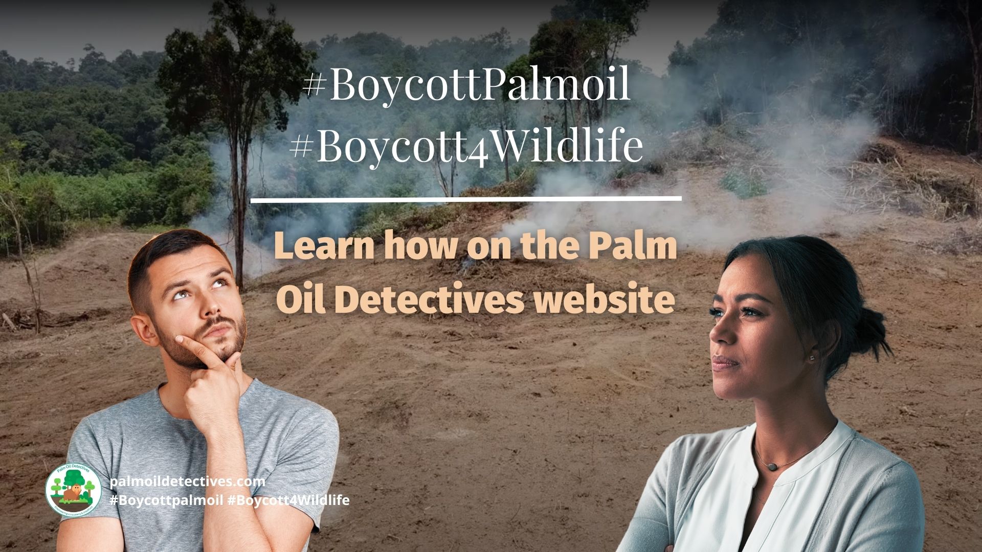 Food Without Agriculture – Palm Oil Detectives